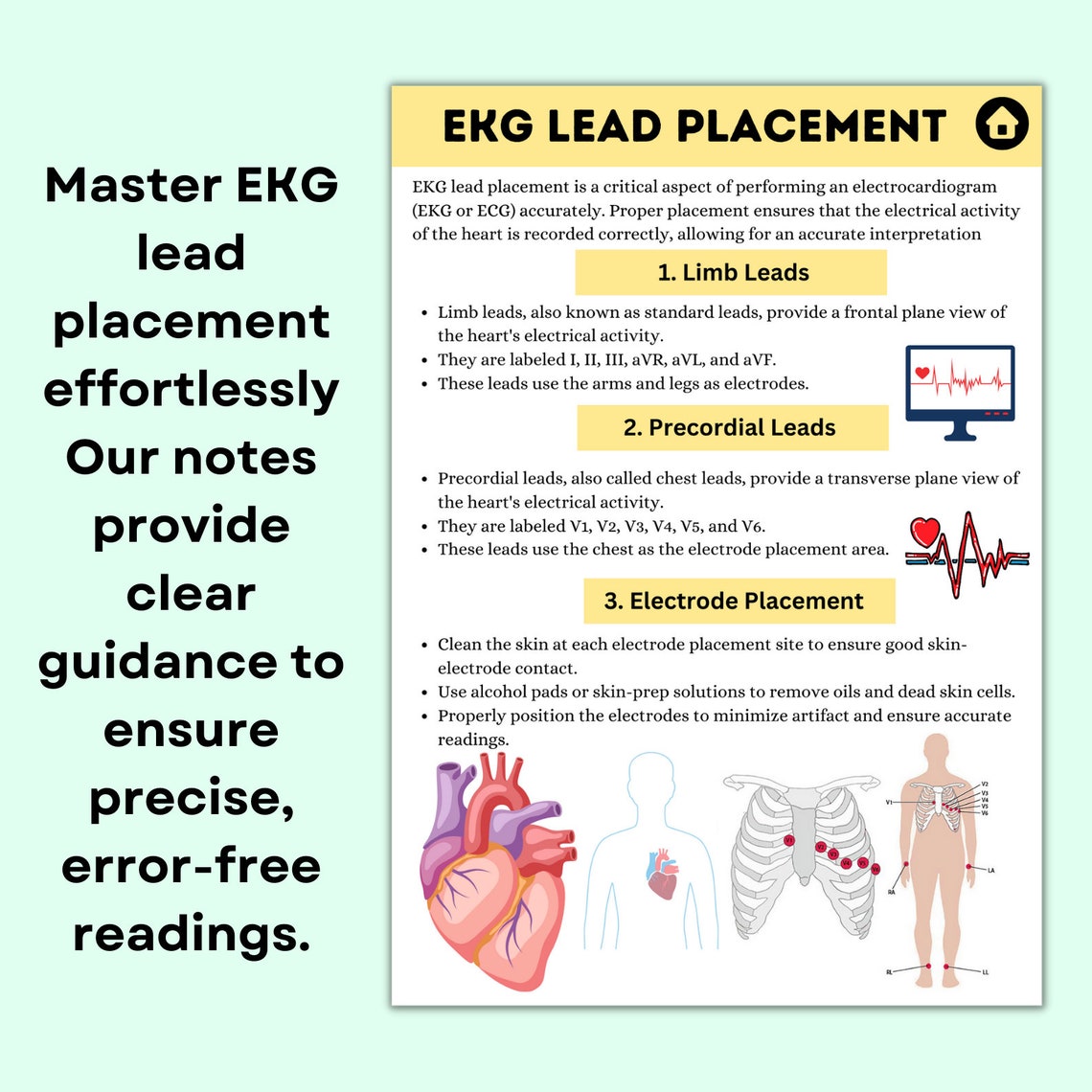 EKG Study Guide for Nursing Students BLS/ACLS Rhythms, Interventions ...