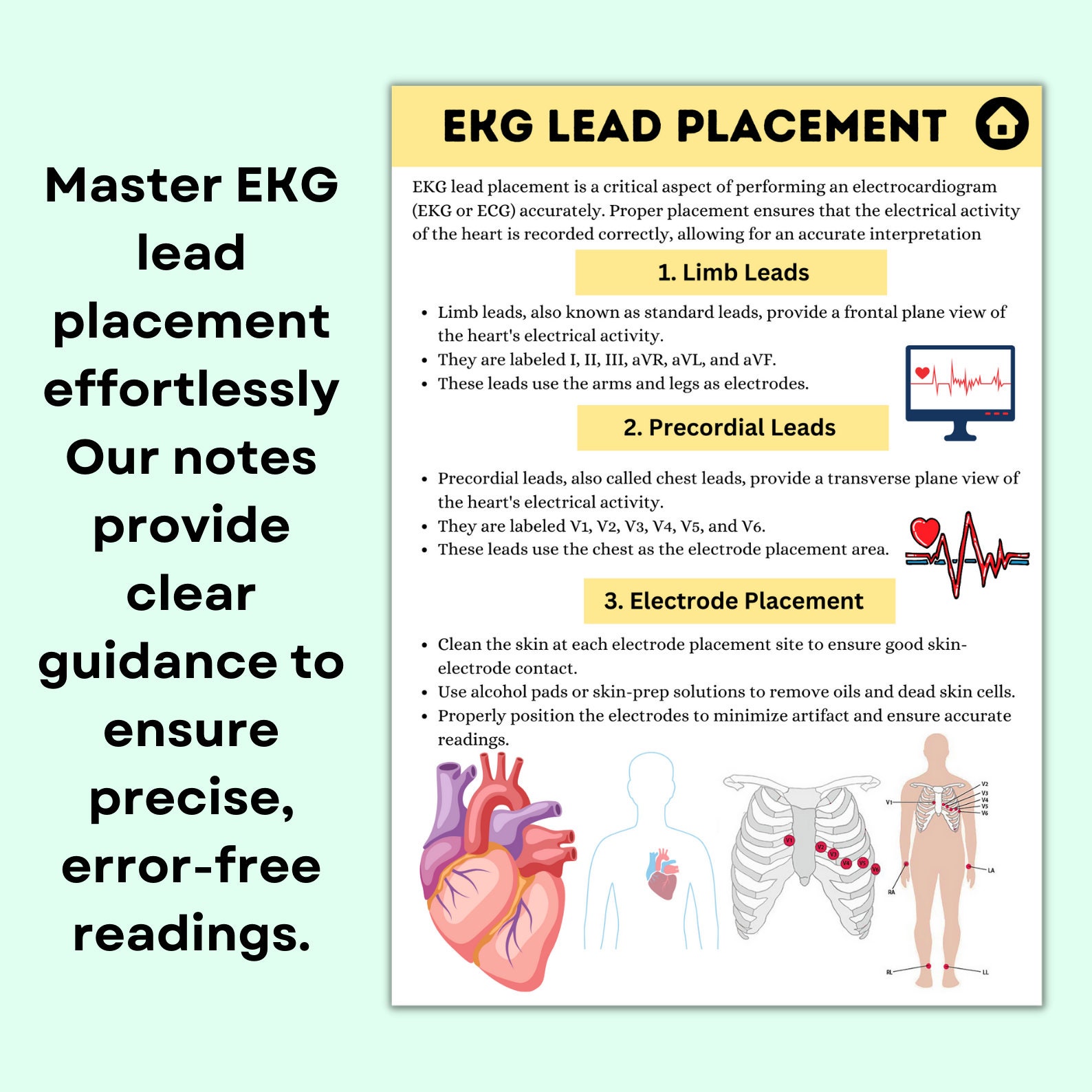 EKG Study Guide for Nursing Students BLS/ACLS Rhythms, Interventions ...