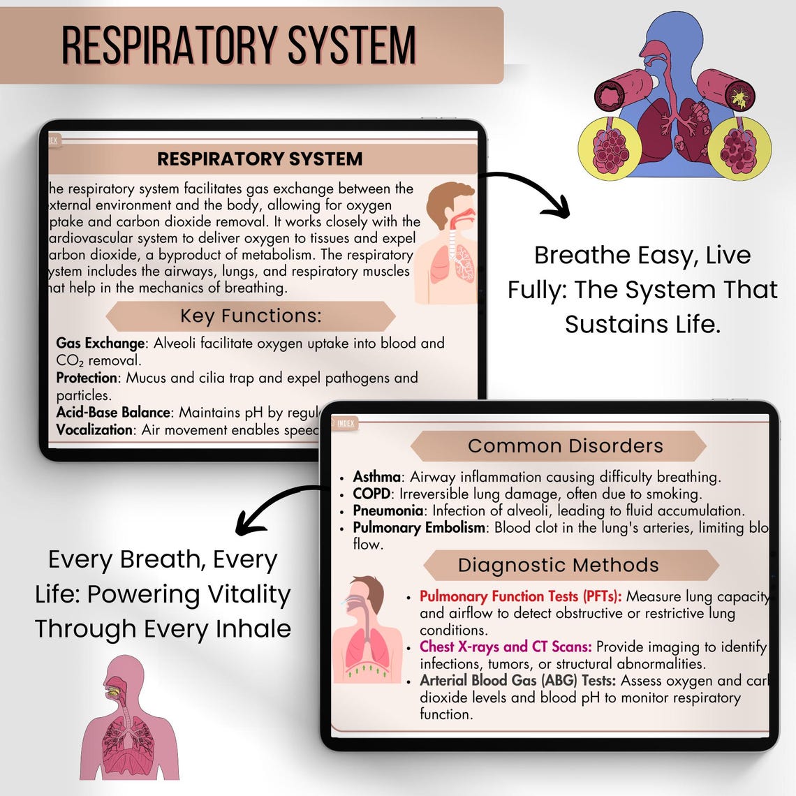 Pathophysiology Flashcards: Medical Nursing Study Aid (digital Download ...