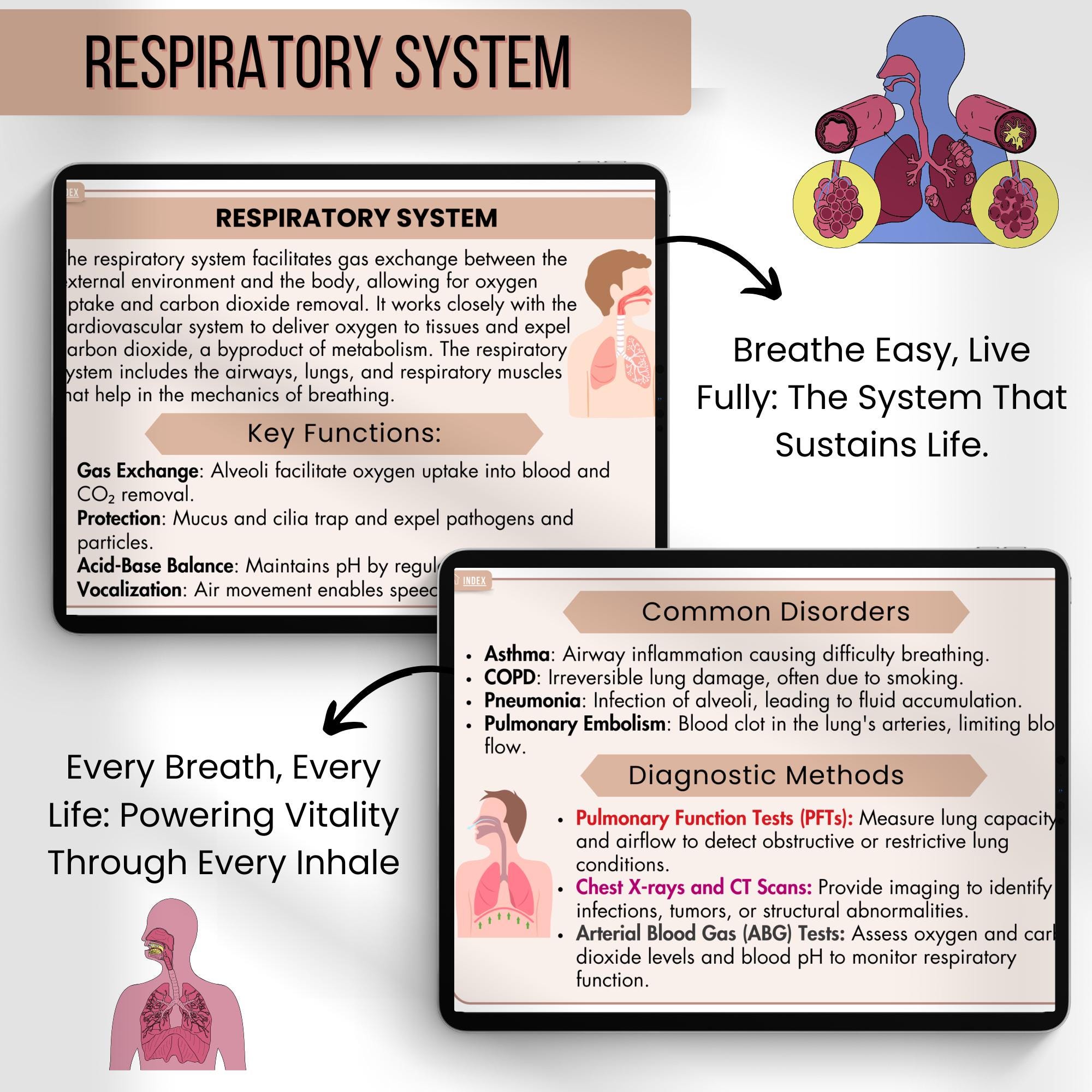 Pathophysiology Flashcards: Medical Nursing Study Aid (digital Download ...