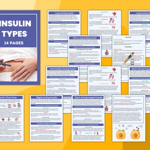 Insulin Types | 14 Pages | Pharmacology | Nursing Notes | Digital ...
