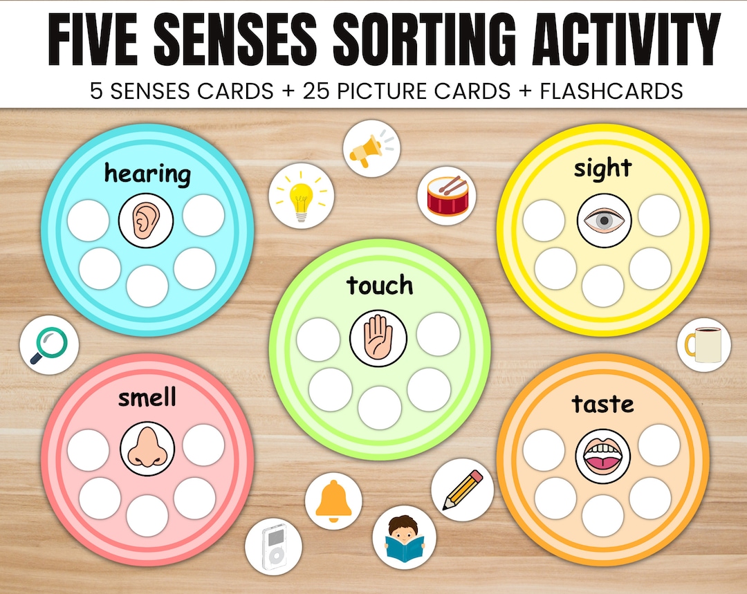 Five Senses Sorting Activity Printable, 5 Senses Sorting, Homeschool Resource, Busy Bags ...