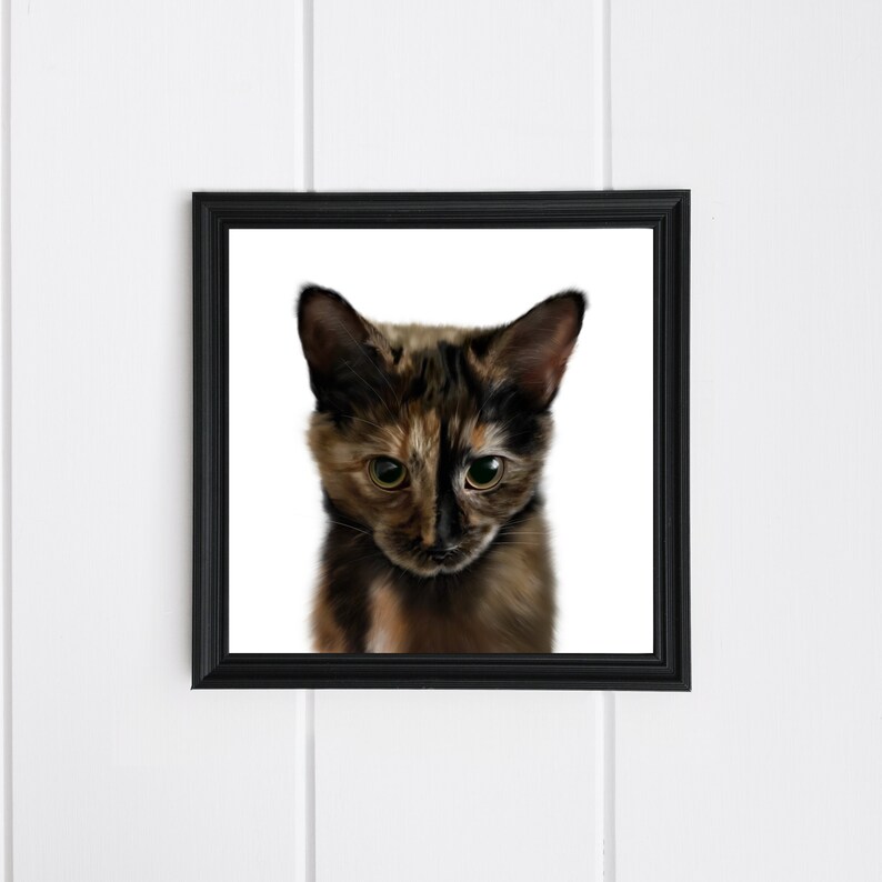 Tortoiseshell Cat Wall Art, Tortoiseshell Cat Drawing, Tortoiseshell ...