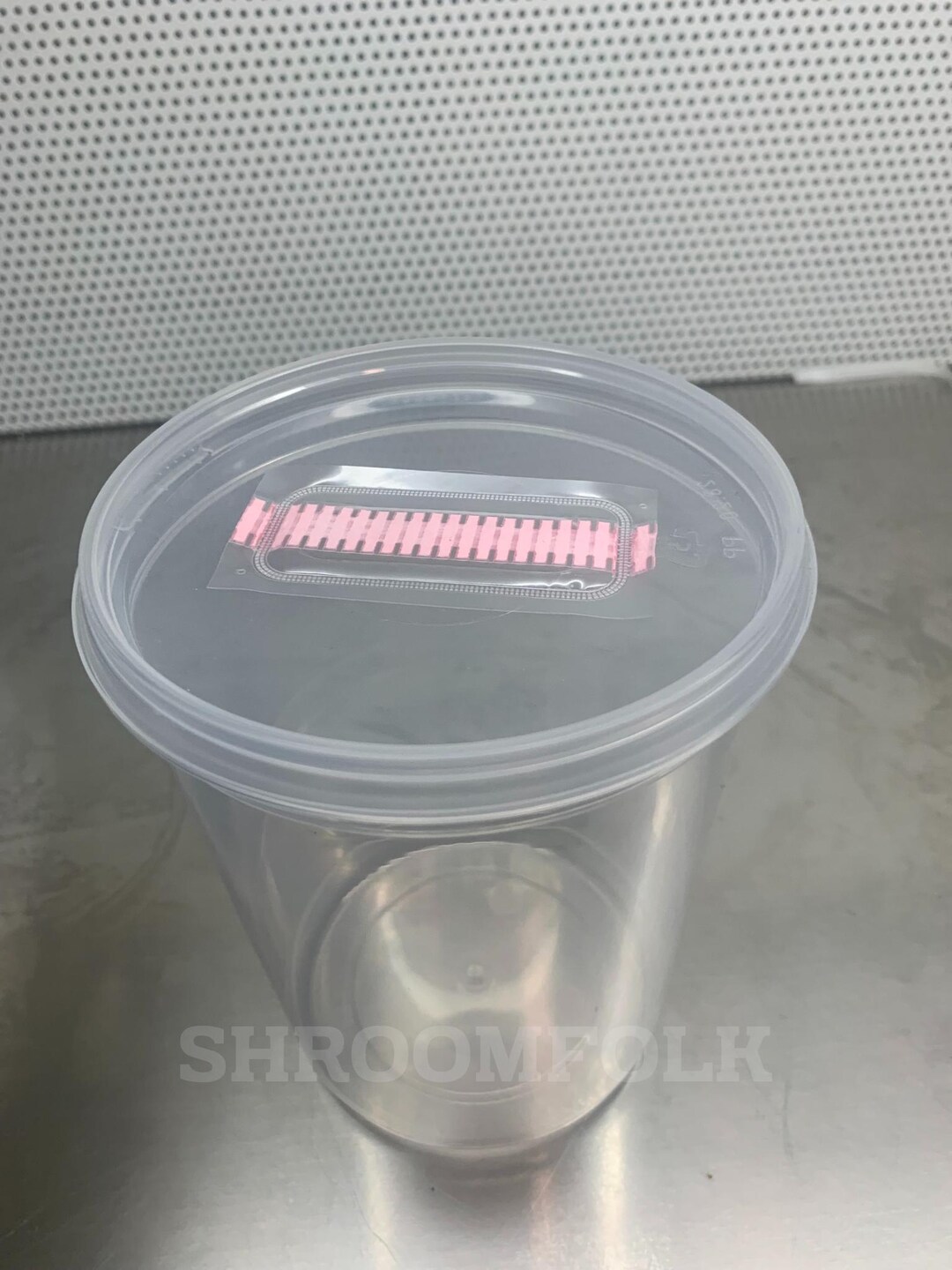 1000ml Autoclavable Tub With Saco2 Pink Filter - Etsy
