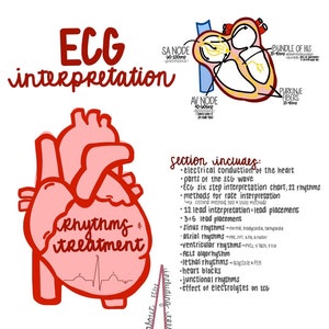 Heartbeat Mastery: Your Ultimate Guide to ECG Expertise and Life-saving ...
