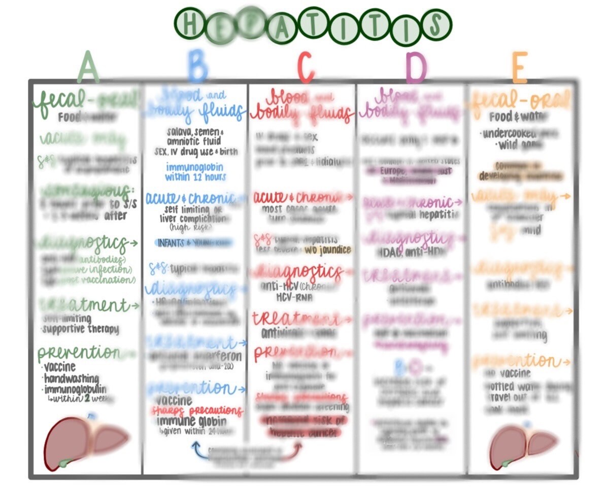 Ultimate Hepatitis Nursing Notes: Pathophysiology, Causes, Treatments ...