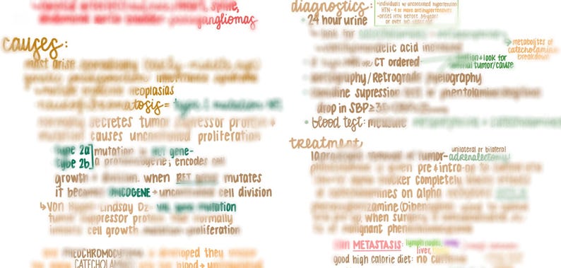 Comprehensive Nursing Notes on Pheochromocytoma: Pathophysiology ...