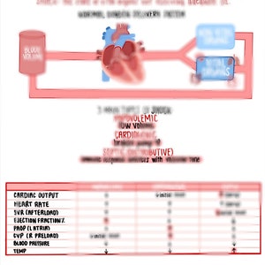 Comprehensive Shock Notes: Types, Stages, Causes, Treatments ...
