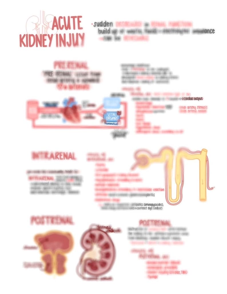 Mastering Renal Health: CKD & AKI Nursing Notes for Rns and Rns-to-be ...