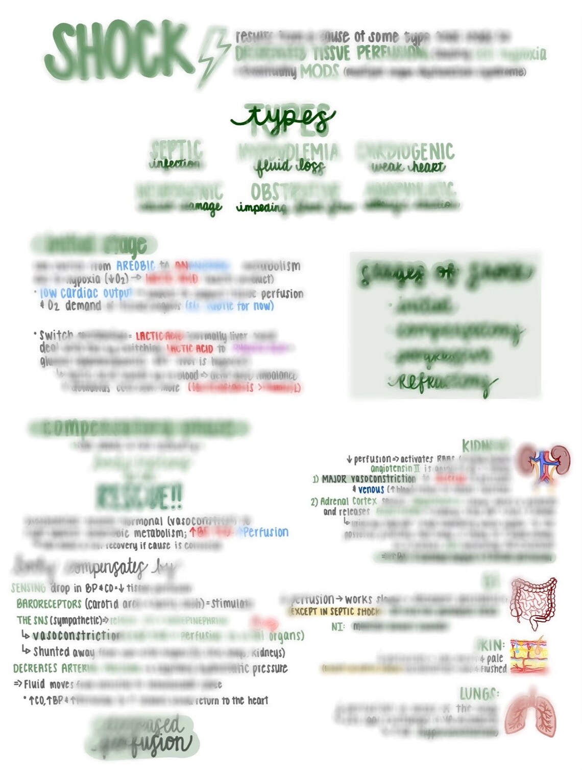 Comprehensive Shock Notes: Types, Stages, Causes, Treatments ...