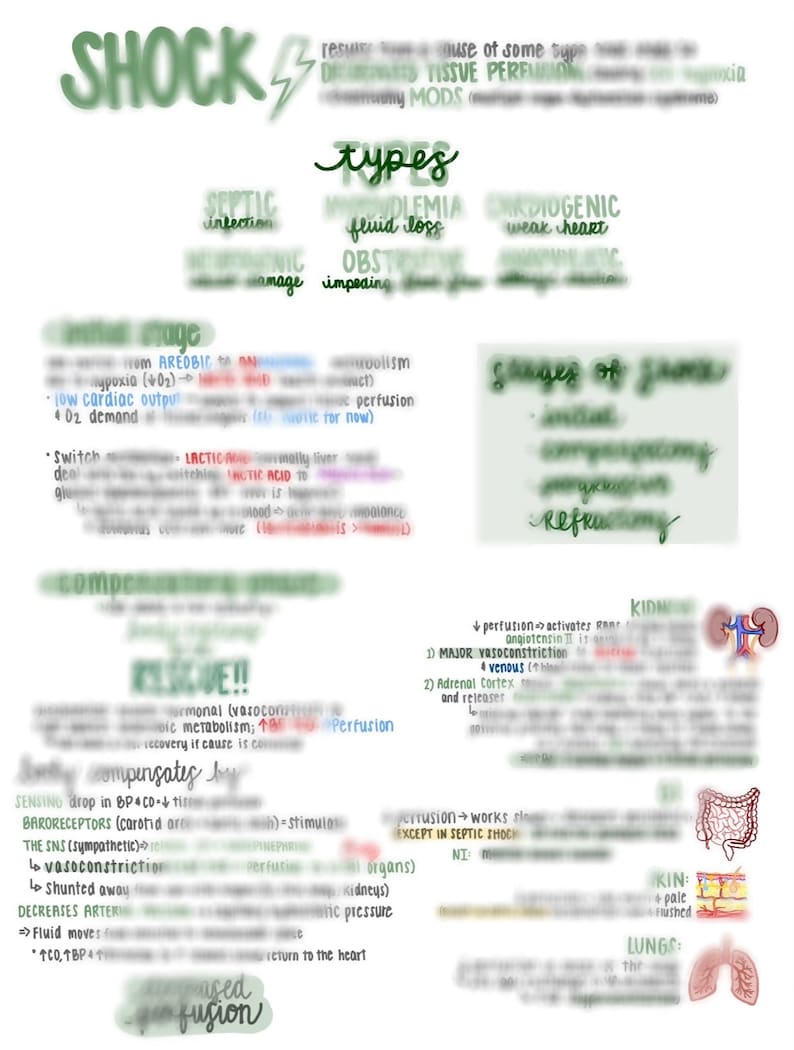 Comprehensive Shock Notes: Types, Stages, Causes, Treatments ...