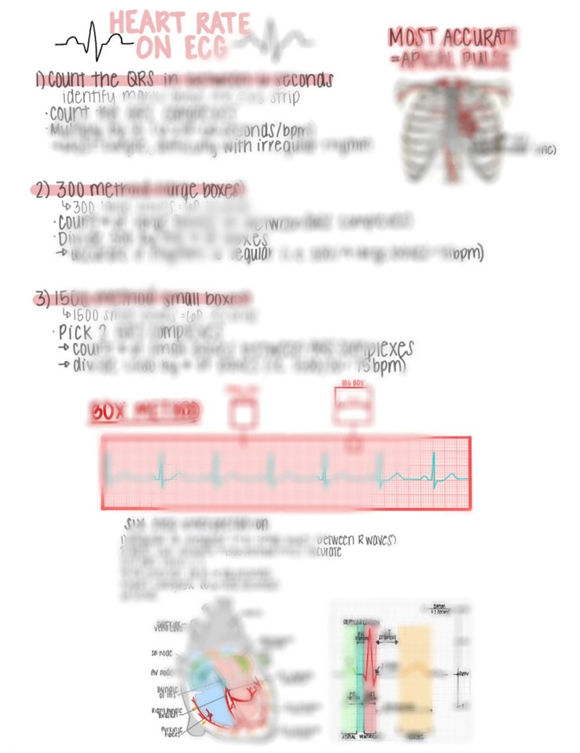 Heartbeat Mastery: Your Ultimate Guide to ECG Expertise and Life-saving ...