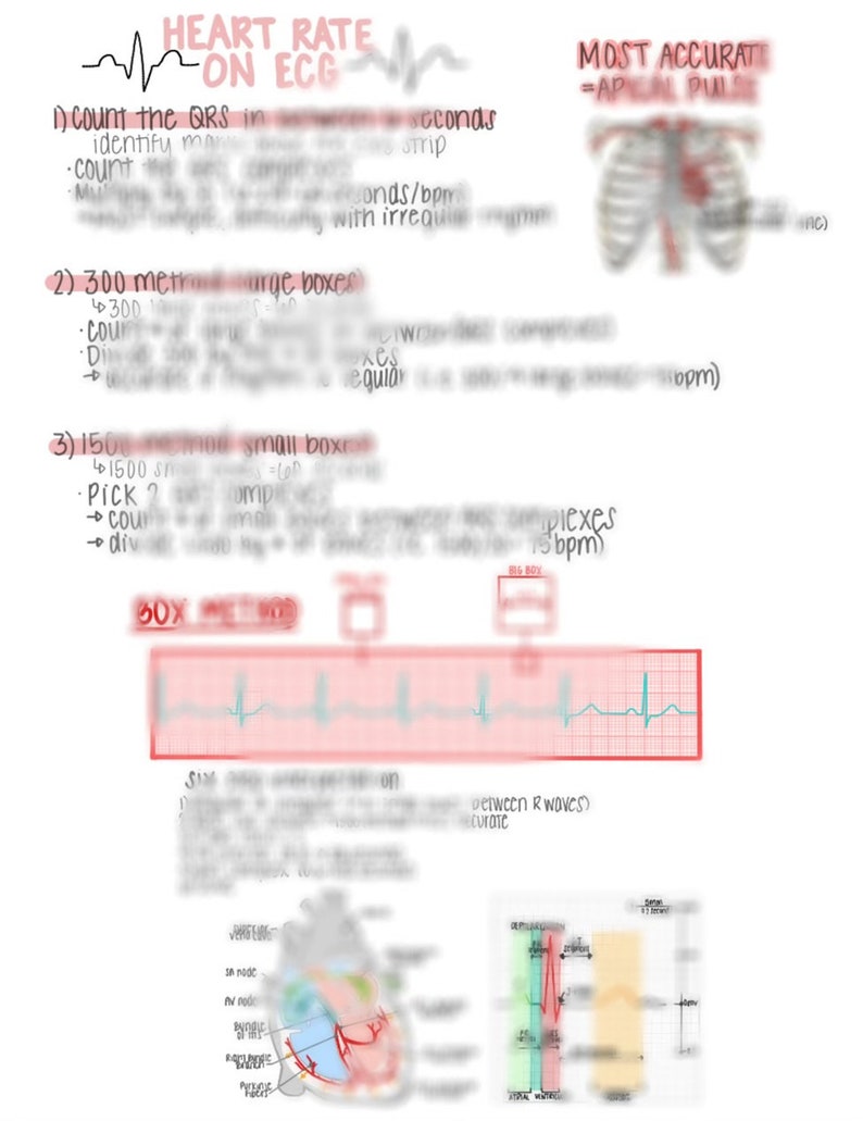 Heartbeat Mastery: Your Ultimate Guide to ECG Expertise and Life-saving ...