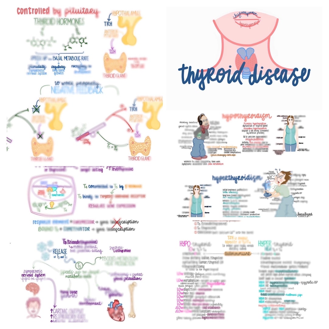THYROID DISEASES: Comprehensive Nursing Guide to Hyper+hypothyroidism + Their Complications ...
