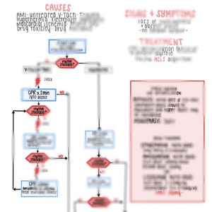 Heartbeat Mastery: Your Ultimate Guide to ECG Expertise and Life-saving ...