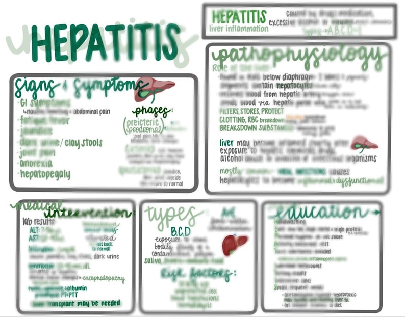 Ultimate Hepatitis Nursing Notes: Pathophysiology, Causes, Treatments ...