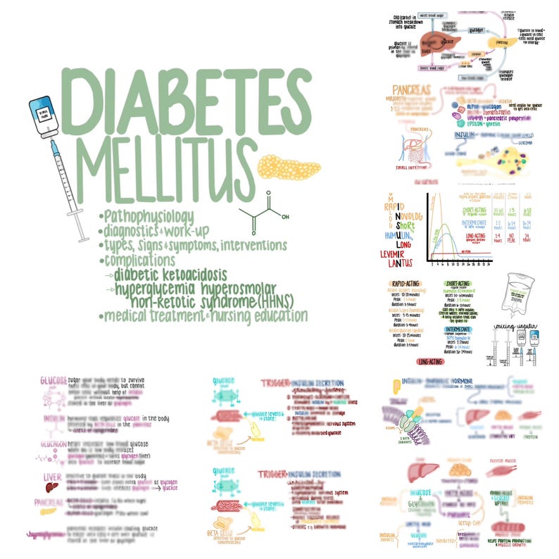 Essential Diabetes Mellitus Nursing Guide: Pathology, Diagnosis ...
