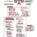 Mastering Renal Health: CKD & AKI Nursing Notes for Rns and Rns-to-be ...