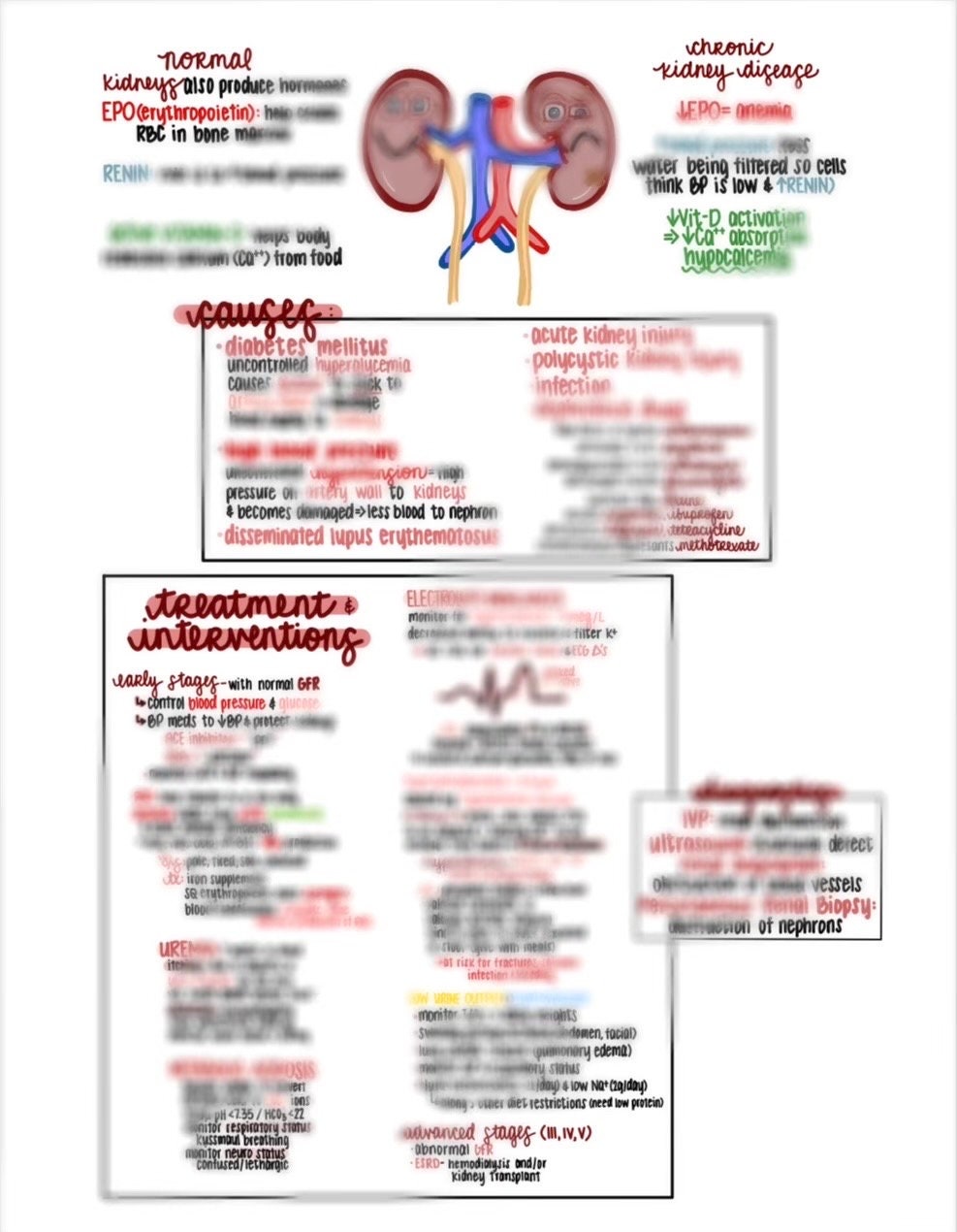 Mastering Renal Health: CKD & AKI Nursing Notes for Rns and Rns-to-be ...