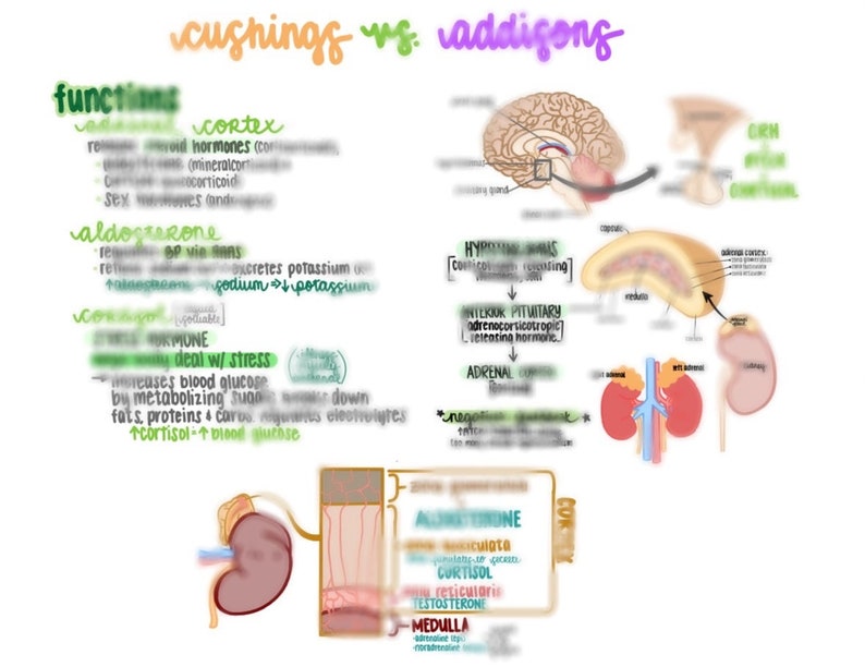 Addison’s Disease and Cushing’s Syndrome: A Comparative Nursing Study ...