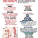 Aortic Aneurysms & Dissections: Comprehensive Nursing Notes on ...