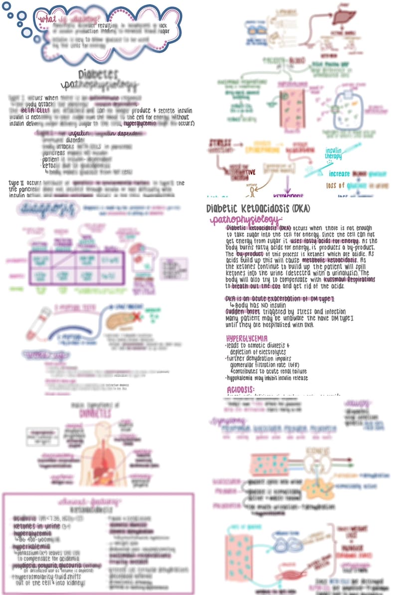 Essential Diabetes Mellitus Nursing Guide: Pathology, Diagnosis ...