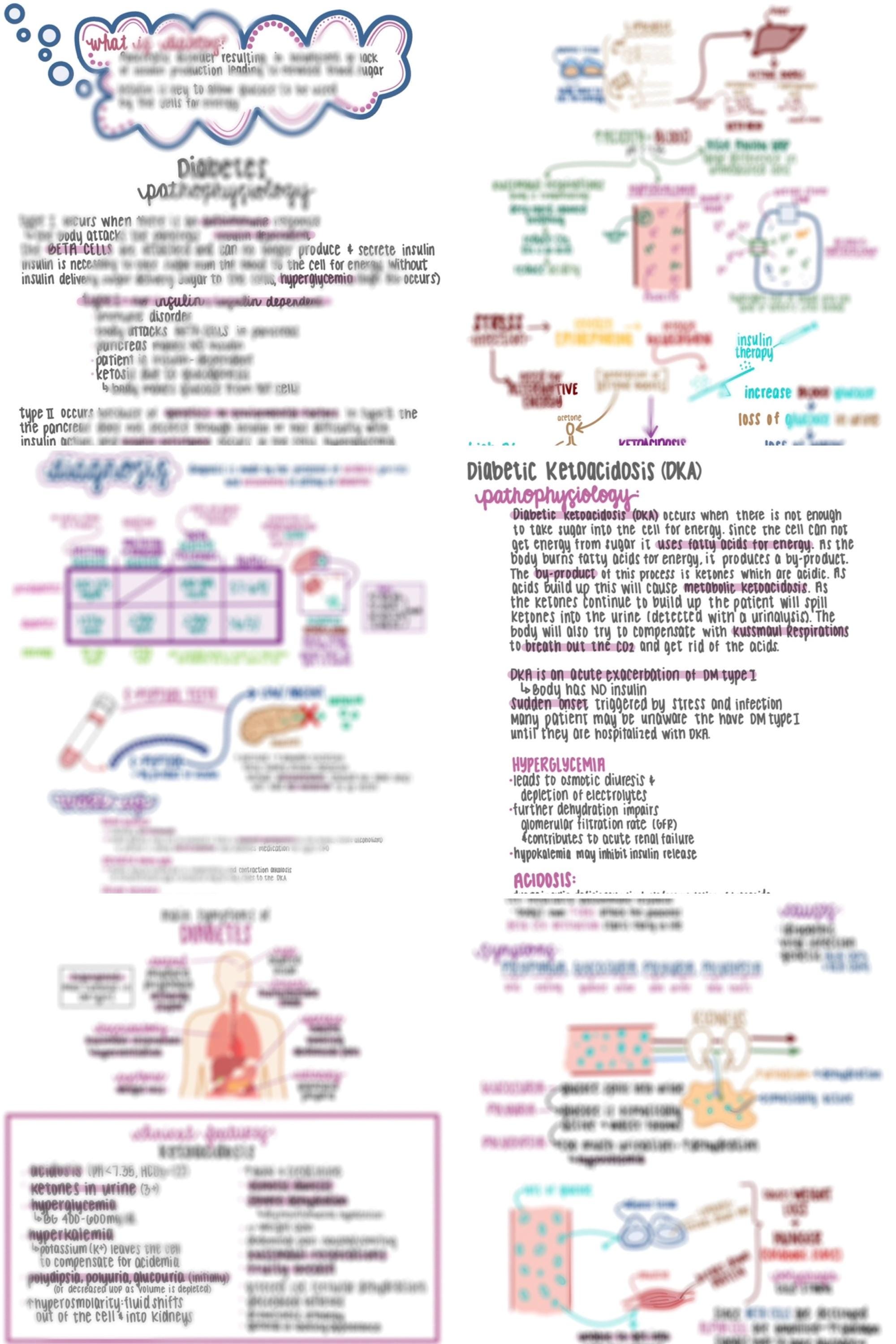 Essential Diabetes Mellitus Nursing Guide: Pathology, Diagnosis ...