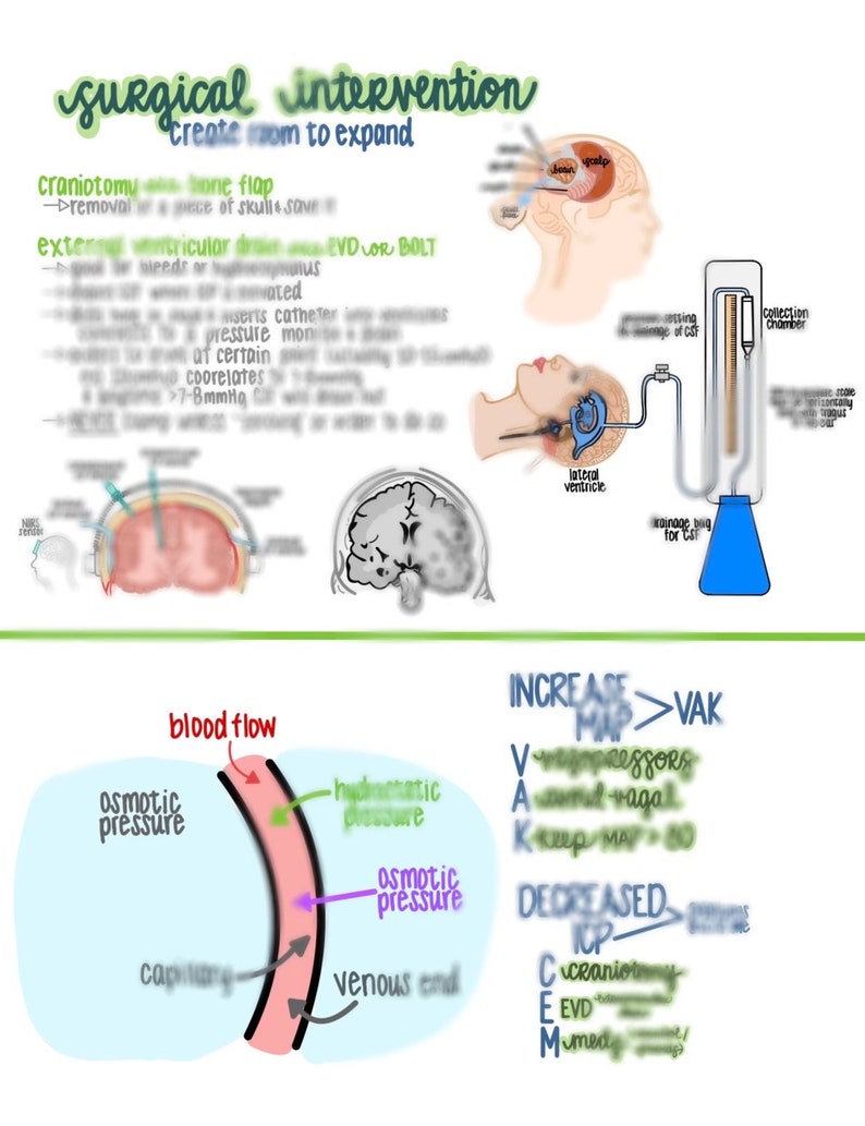 ICP Nursing Guide: Neuro Assessment, Exam Prep Notes - Etsy