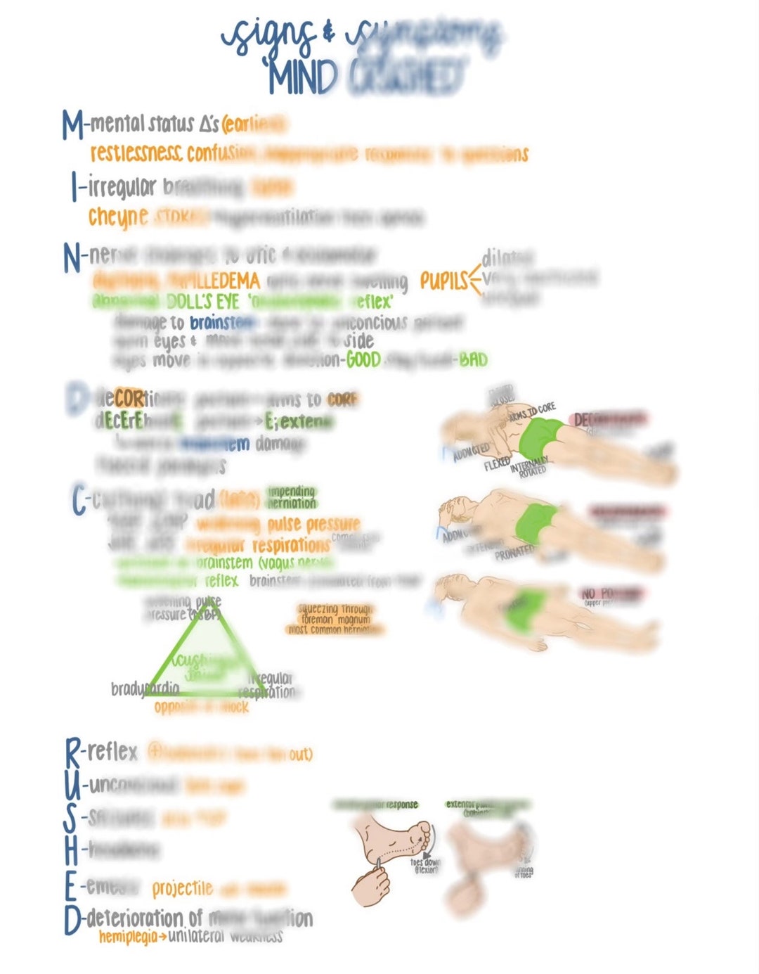 ICP Nursing Guide: Neuro Assessment, Exam Prep Notes - Etsy