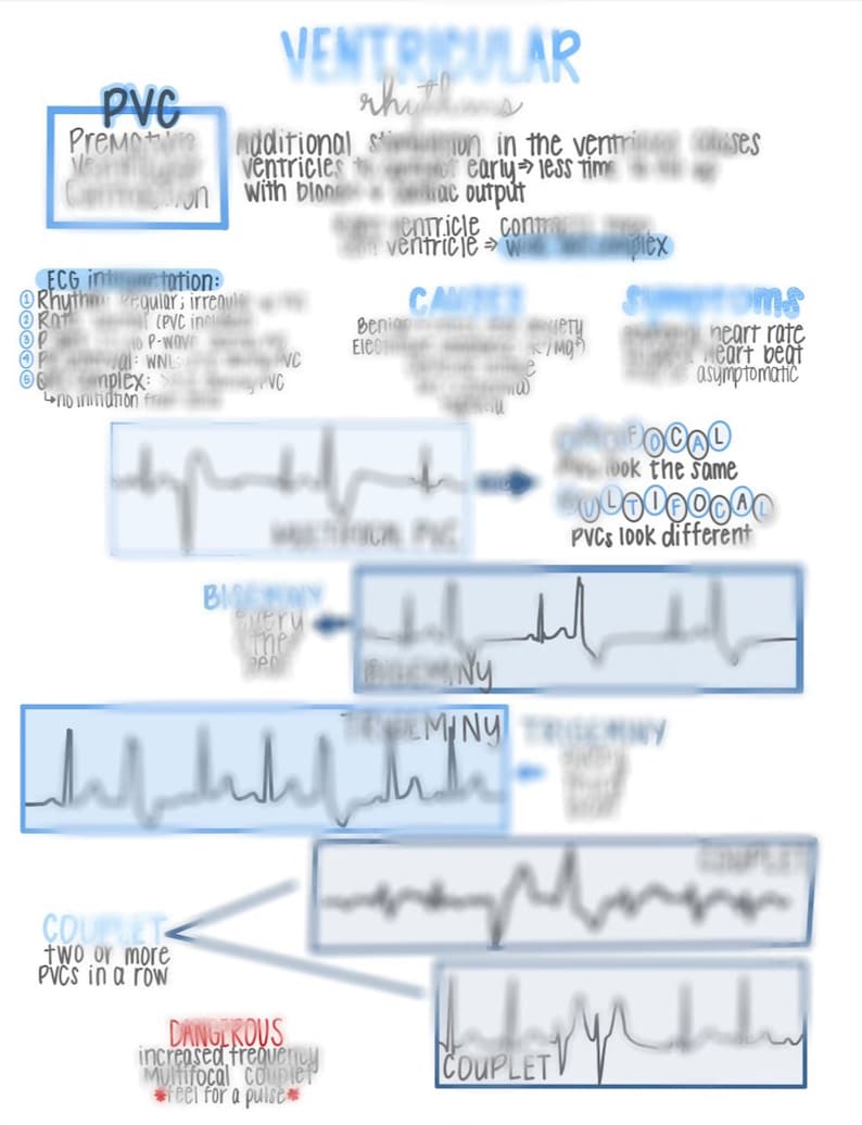 Heartbeat Mastery: Your Ultimate Guide to ECG Expertise and Life-saving ...