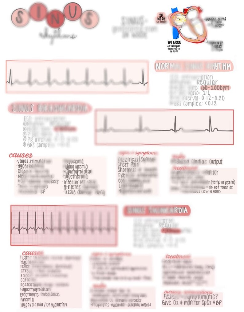 Heartbeat Mastery: Your Ultimate Guide to ECG Expertise and Life-saving ...