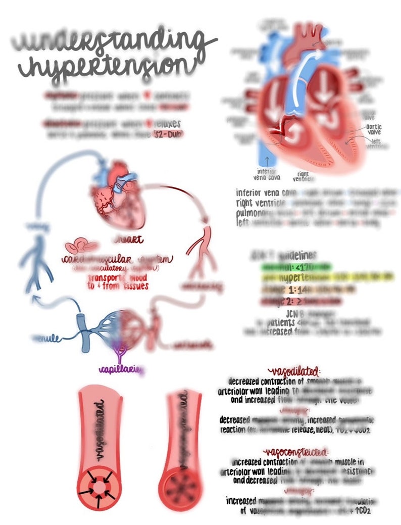 HYPERTENSION and HYPERTENSIVE CRISIS for Nurses - Digital Download - Etsy