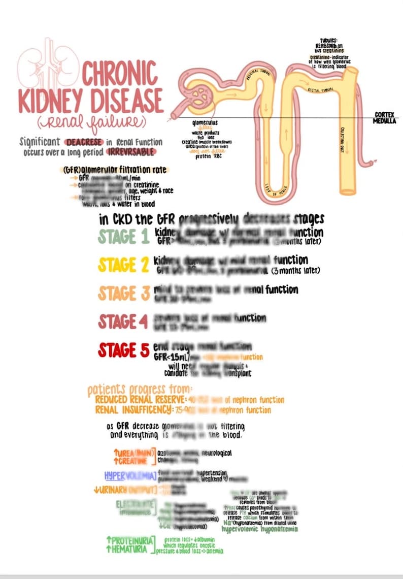 Mastering Renal Health: CKD & AKI Nursing Notes for Rns and Rns-to-be ...