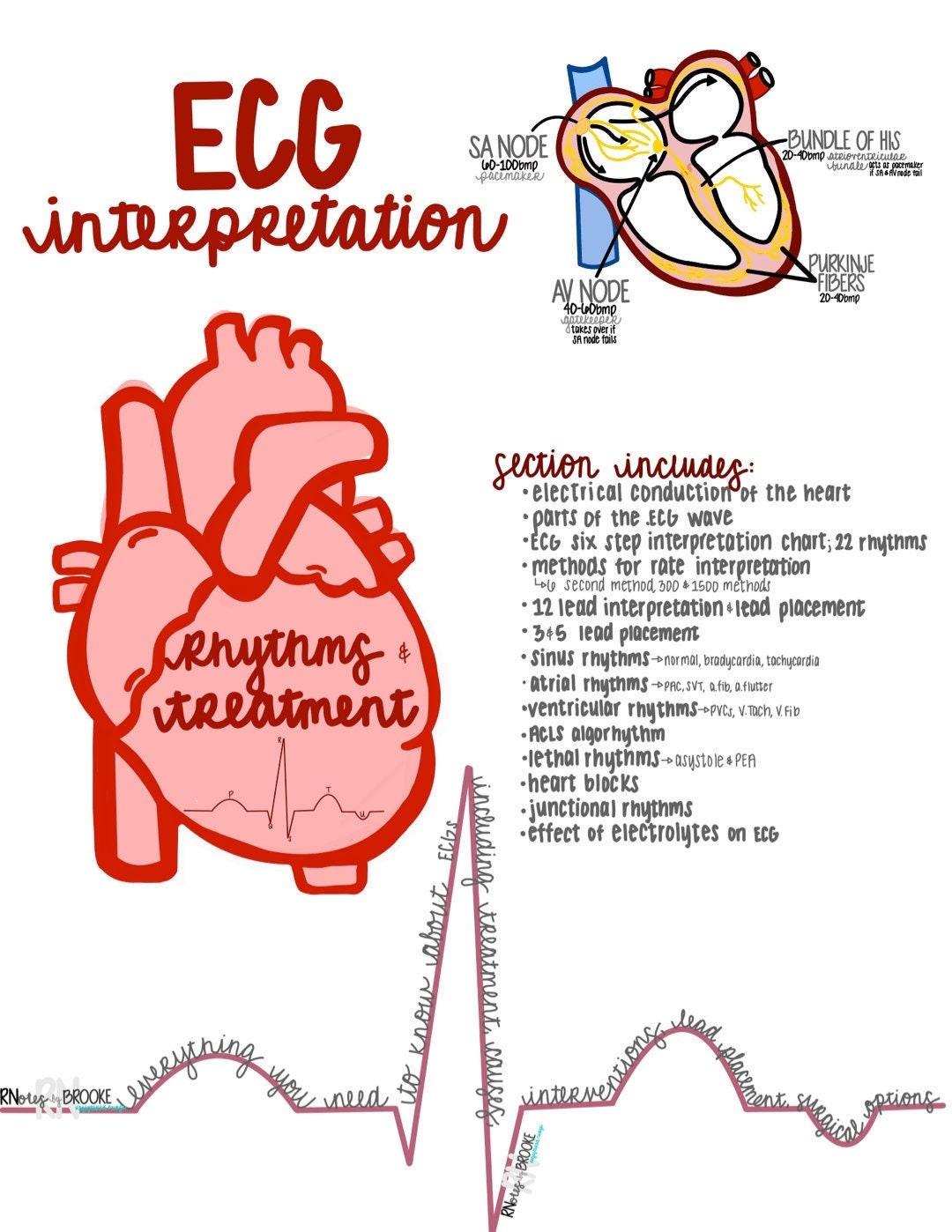 Heartbeat Mastery: Your Ultimate Guide to ECG Expertise and Life-saving ...