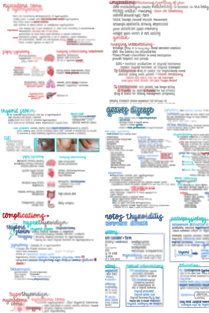 Thyroid Disease Nursing Guide: Hyper/hypothyroidism Complications - Etsy