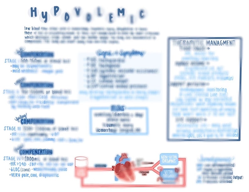 Comprehensive Shock Notes: Types, Stages, Causes, Treatments ...