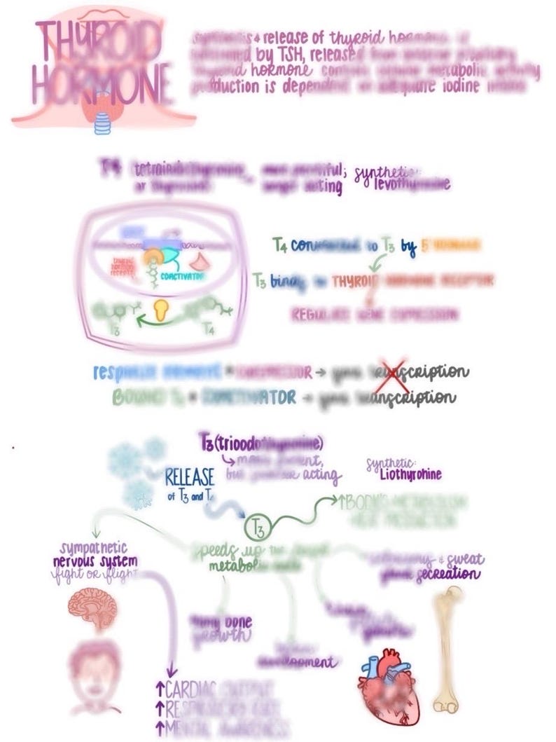 THYROID DISEASES: Comprehensive Nursing Guide to Hyper+hypothyroidism + Their Complications ...