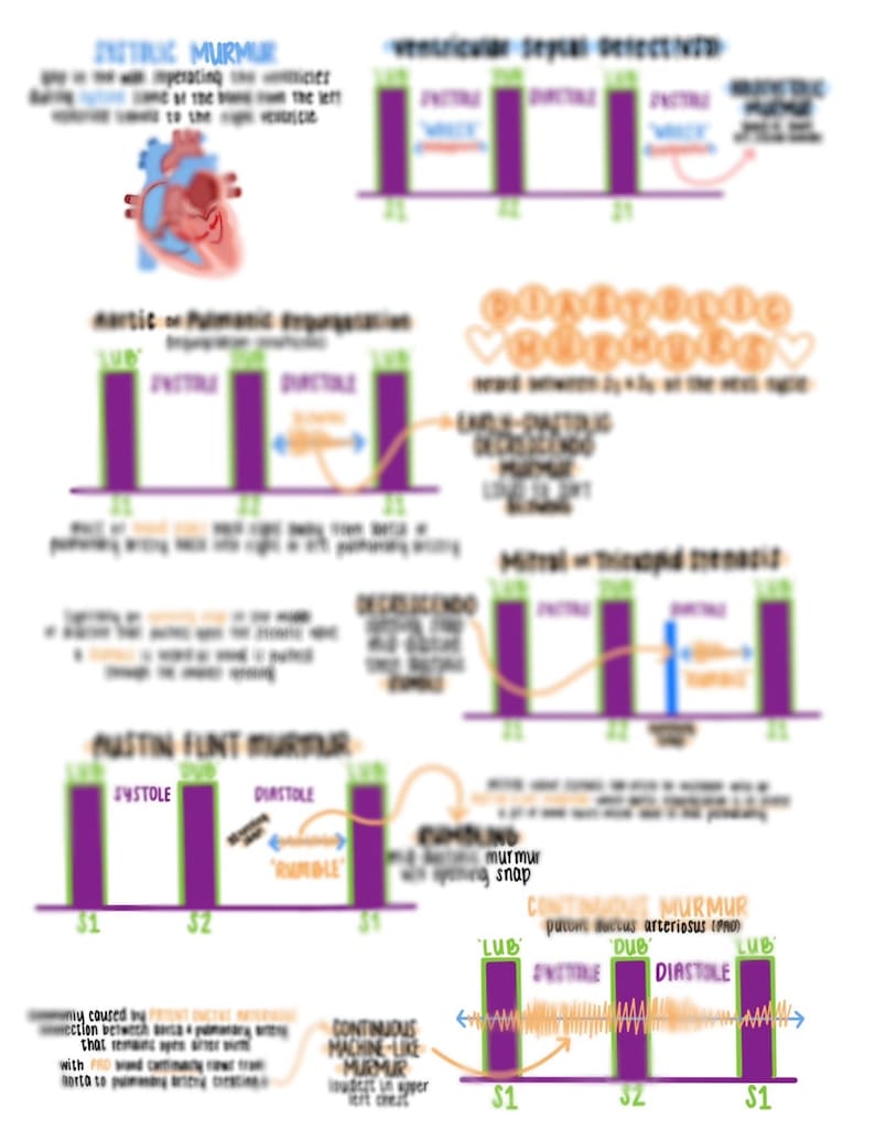 HEART MURMURS Nursing Notes for Nurses - Etsy