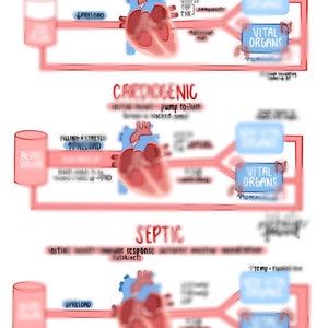 Comprehensive Shock Notes: Types, Stages, Causes, Treatments ...