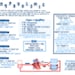 TYPES of SHOCK Simplified: A Mind Map for Nurses and Nursing Students ...