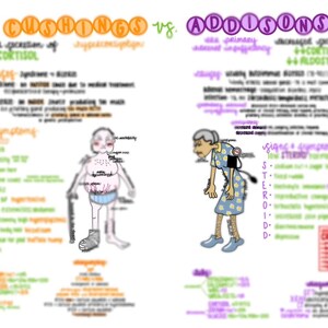 Addison’s Disease and Cushing’s Syndrome: A Comparative Nursing Study - Etsy