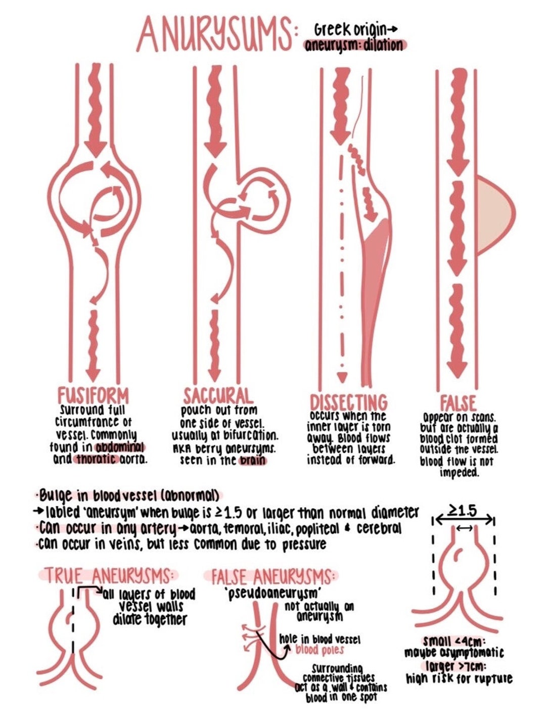 Aortic Aneurysms & Dissections: Comprehensive Nursing Notes on ...