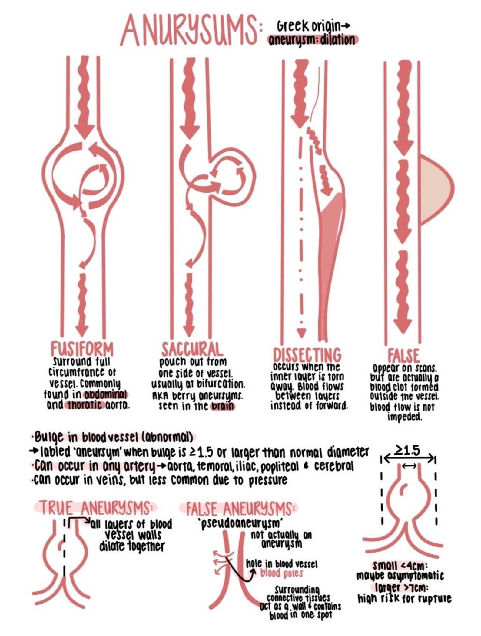 Aortic Aneurysms & Dissections: Comprehensive Nursing Notes on ...