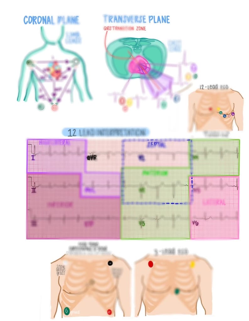 Heartbeat Mastery: Your Ultimate Guide to ECG Expertise and Life-saving ...