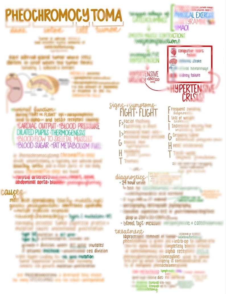 Comprehensive Nursing Notes on Pheochromocytoma: Pathophysiology ...