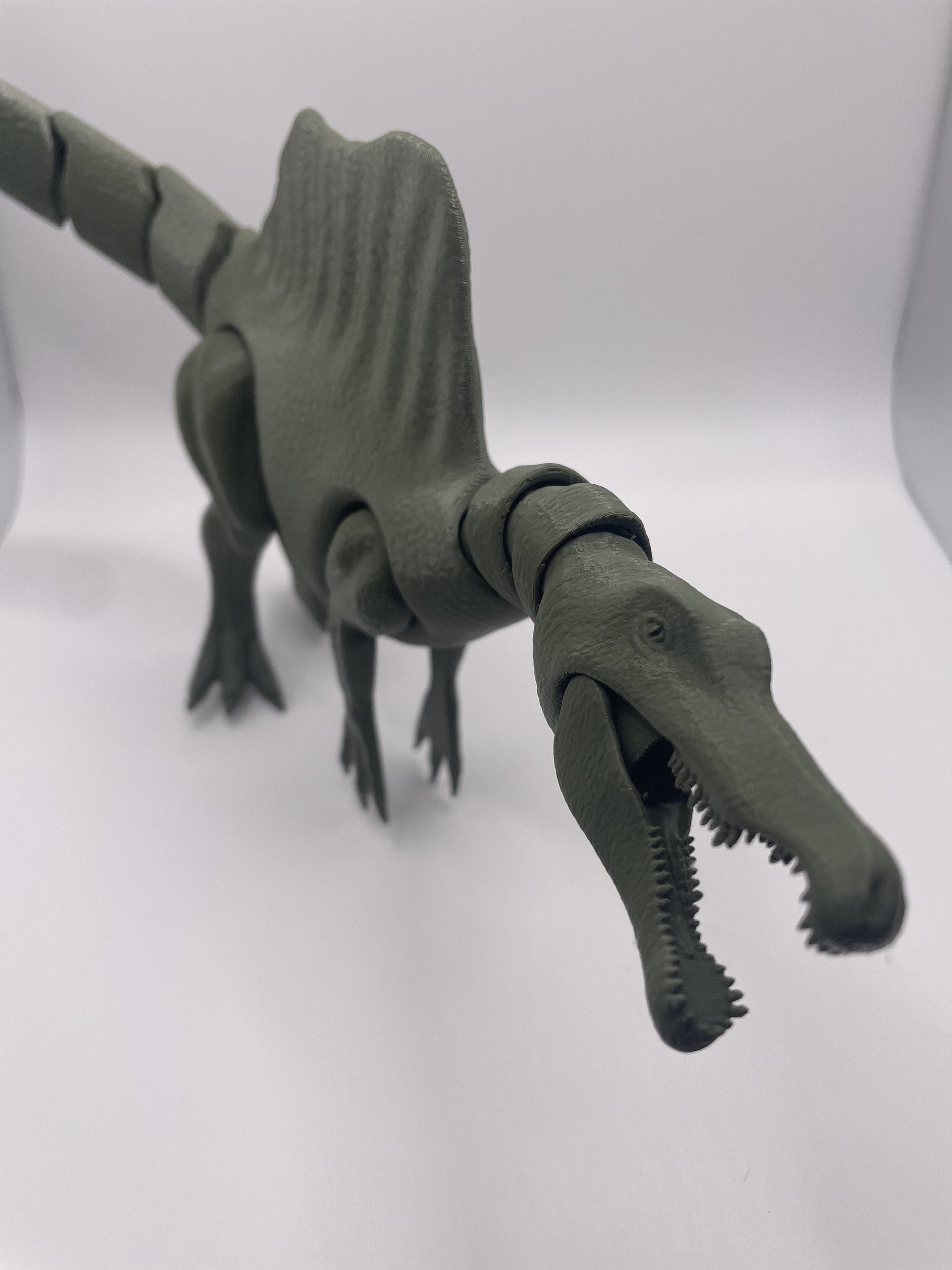 Articulated 3D Printed Spinosaurus Dinosaur Dino 3D Print - Etsy Canada