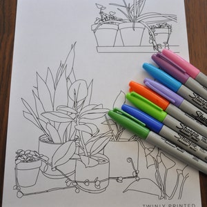 Printable Plant Shelf Coloring Page - Etsy