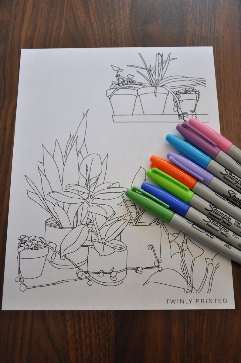 Printable Plant Shelf Coloring Page - Etsy