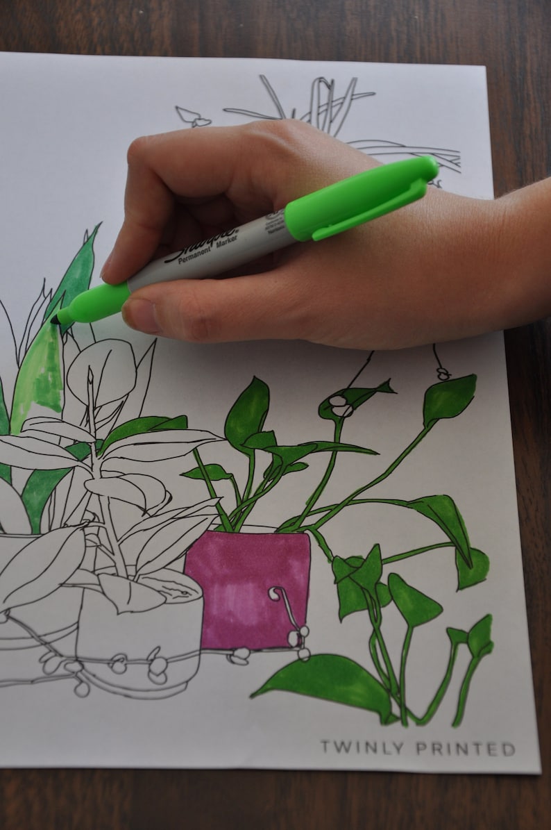 Printable Plant Shelf Coloring Page - Etsy