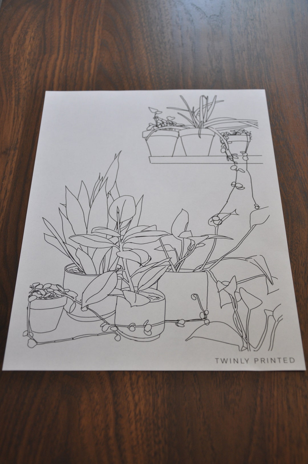 Printable Plant Shelf Coloring Page - Etsy